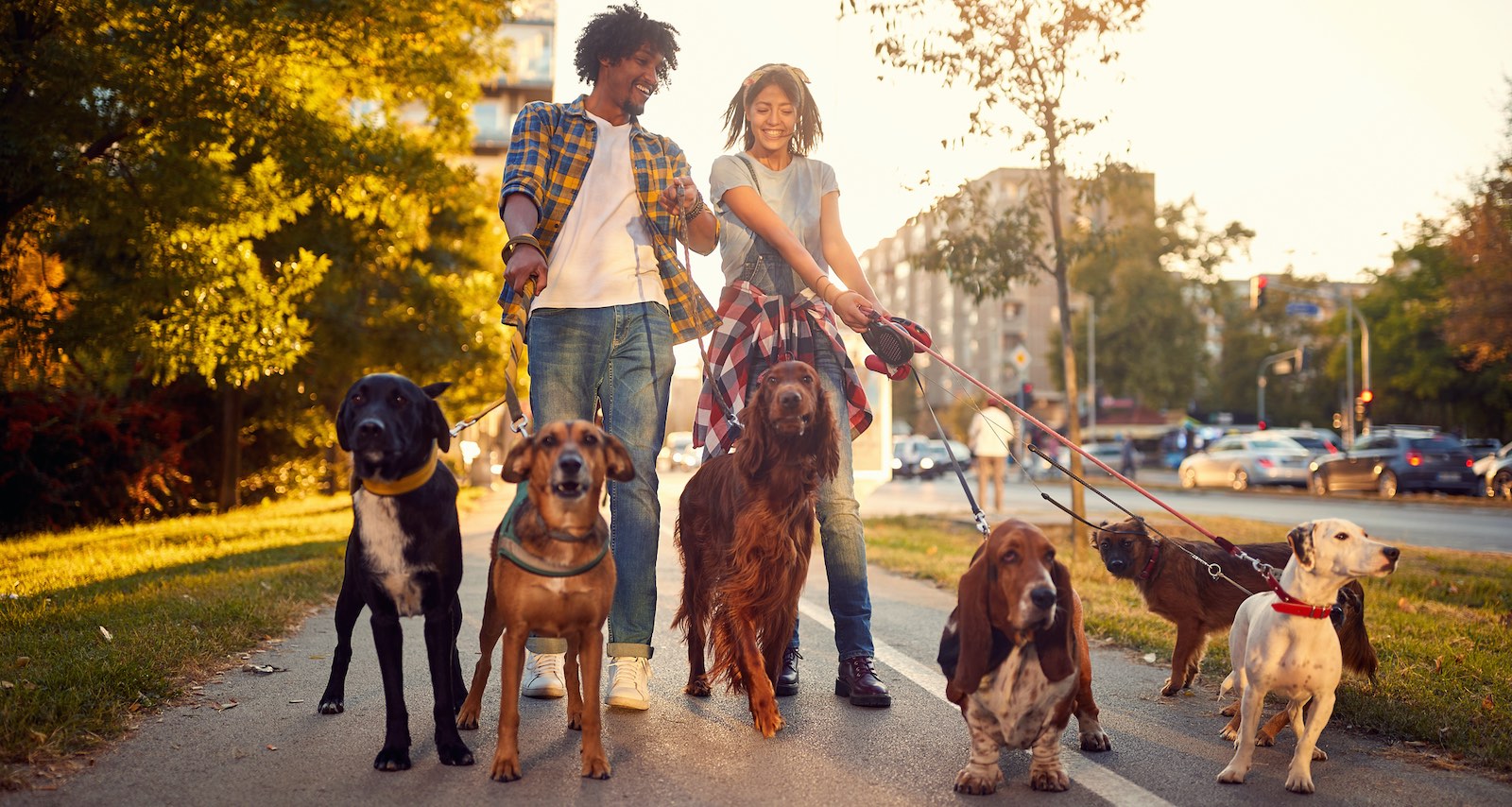 How To Get Cheap Accommodation in an Expensive City | Estate Sitting