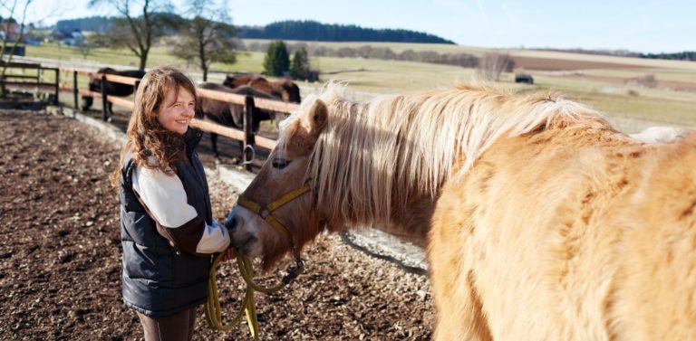 Horse Sitting and House Sitting: How It Works | Estate Sitting
